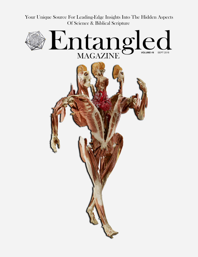 Anthony Patch - Home